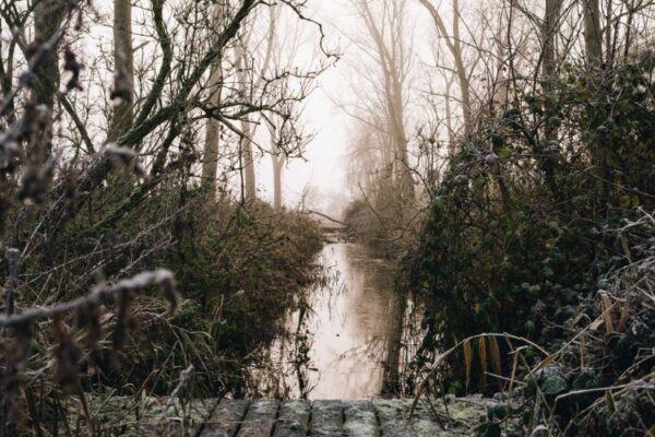 BNG Units | Langley Abbey Environment Project - Langley Abbey ...