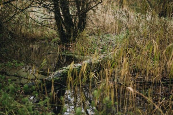 BNG Units | Langley Abbey Environment Project - Langley Abbey ...